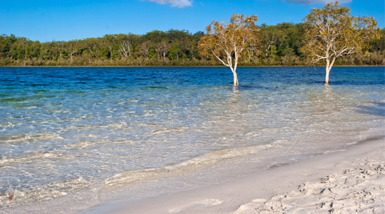 Fraser Island: a maior ilha de areia do mundo! - AC Australian Centre